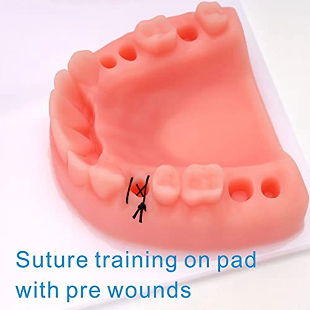 Dental Suture Practice Kit - High Quality Training Tools