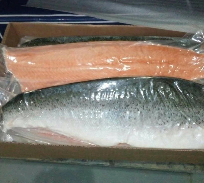 Frozen Salmon Fish Fillets | Whole Salmon Fish Bulk - Buy Frozen Salmon ...