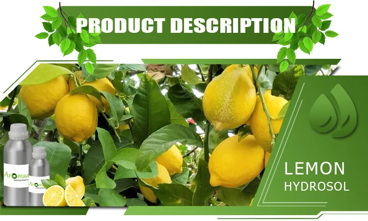 100% Pure Organic Lemon Hydrosol Global Exporters at Bulk Wholesale ...