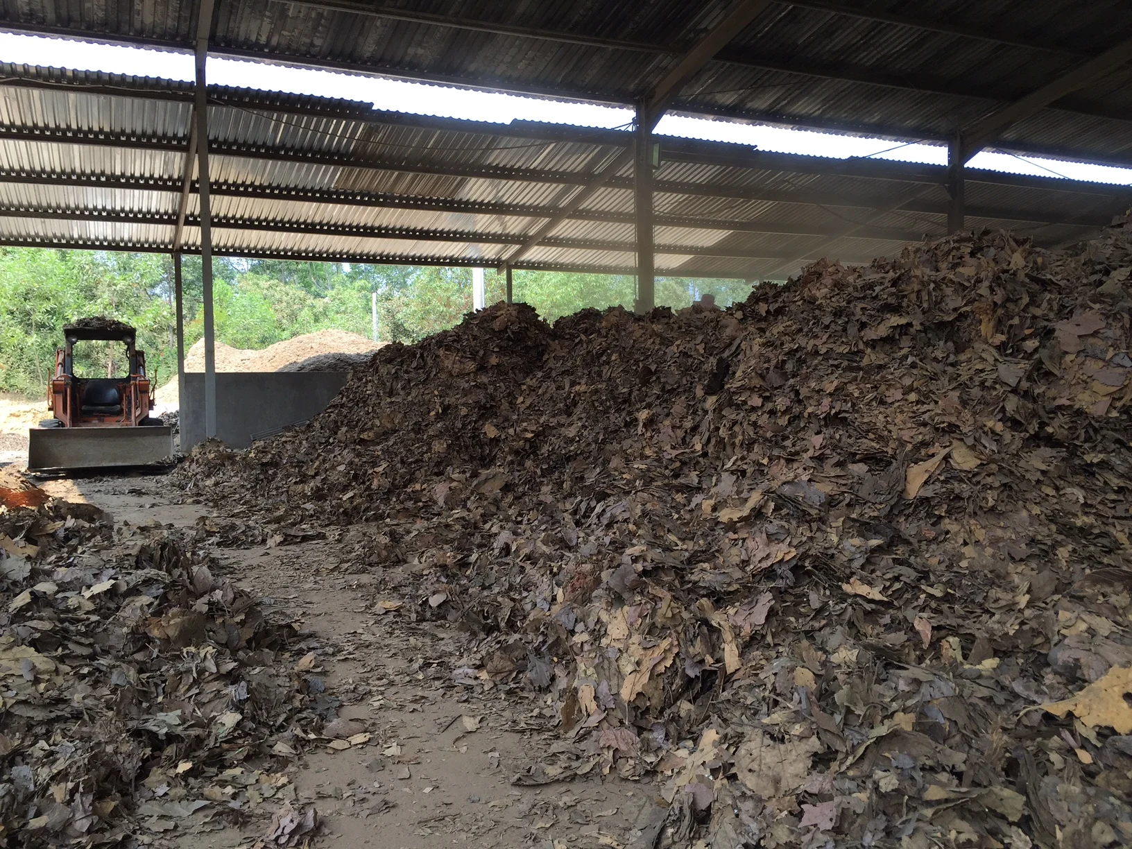 Whosale Dried Teak Leaves Packaging 23kg/pe Bag From Vietnam High ...