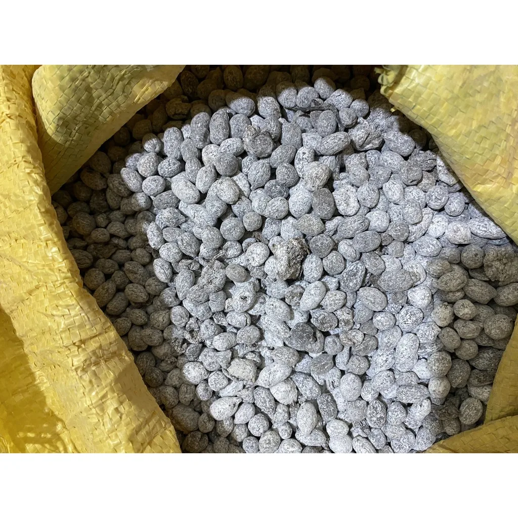 Bat Droppings Guano Producing high quality organic bat manure from ...