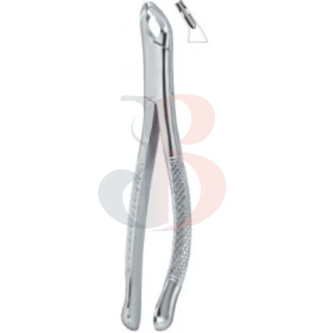 Dental Tooth Extracting Forceps Upper And Lower Bicuspid,Cuspid,Incisor ...