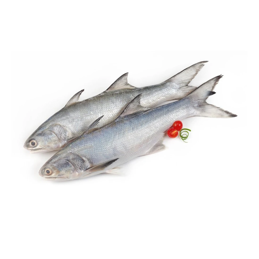 Salmon Fish Frozen Fillet Fresh And Frozen Atlantic Salmon Fish/whole ...