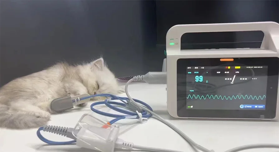 VE5 Veterinary Vital Signs Monitor - Animal Care Instrument