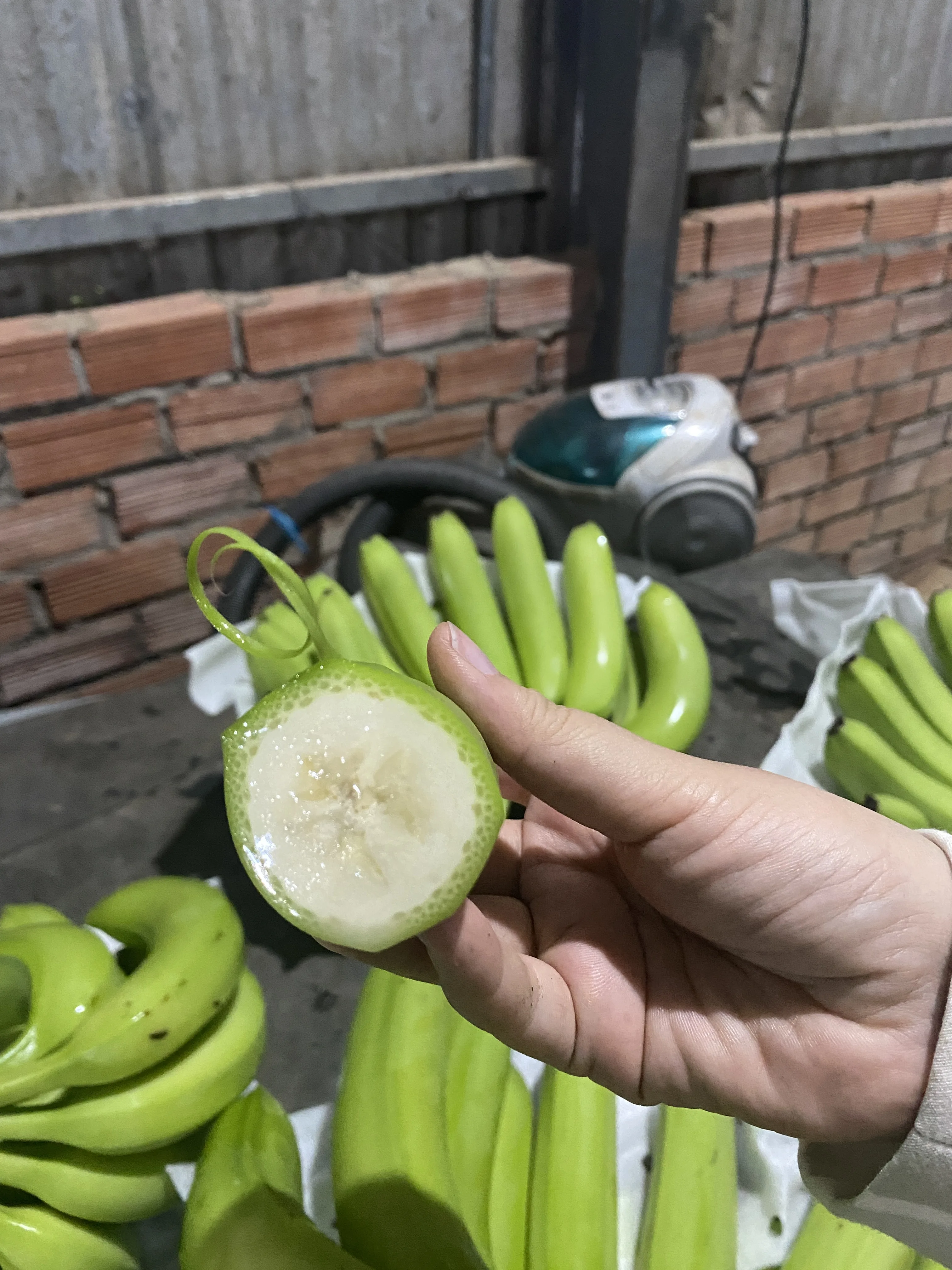 Fresh Cavendish Bananas from Vietnam - High Quality Fruit