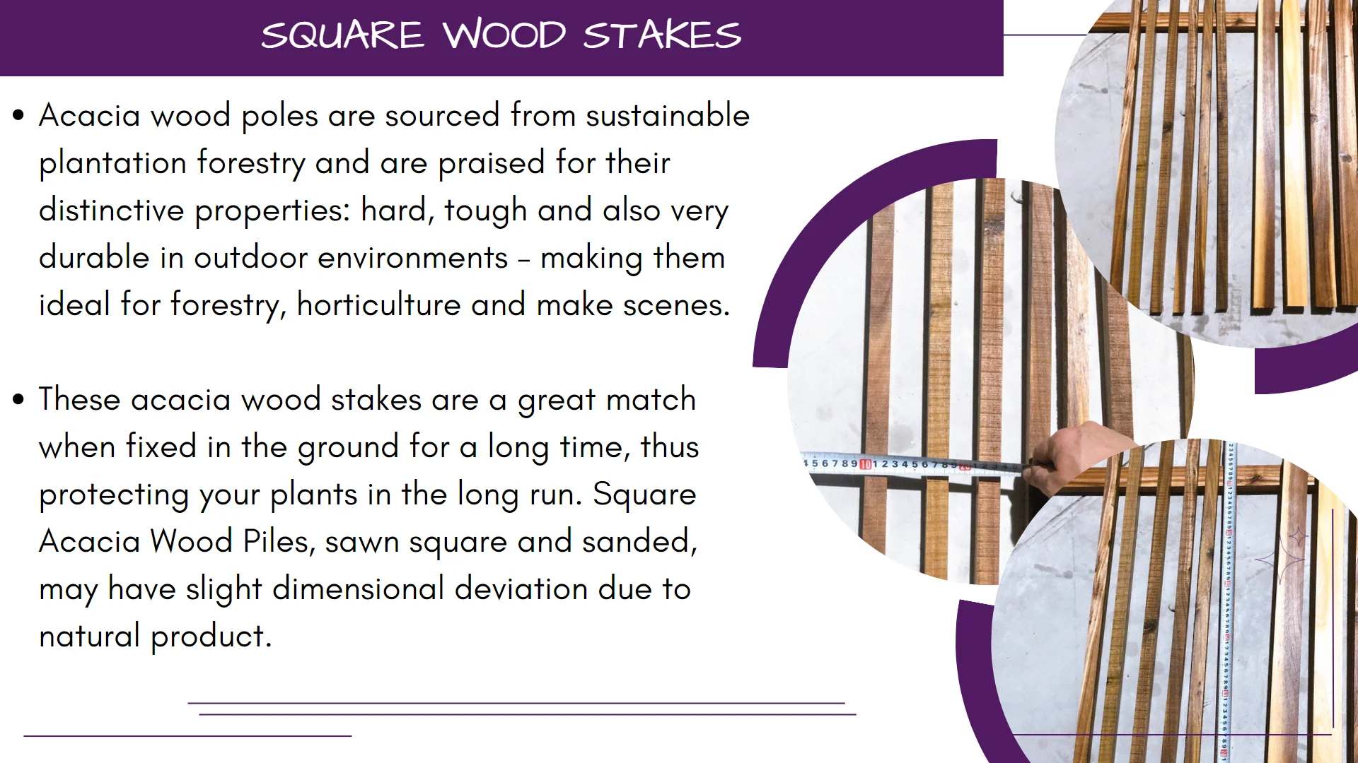 Good Quality 100% Acacia Wood Stakes From Vietnam Available For Export ...