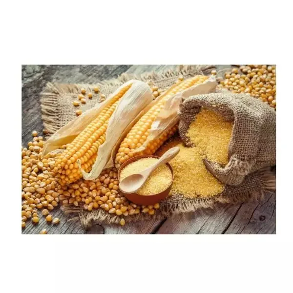 High Protein Chicken Feed Yellow Wheat For Animal Feed Bran Corn Gluten ...