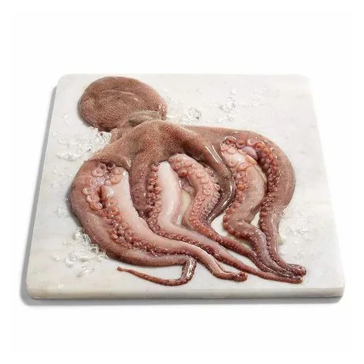 Hot Sale Fresh Frozen Baby Octopus / Baby Octopus 20 - 40 For Sale Hot ...
