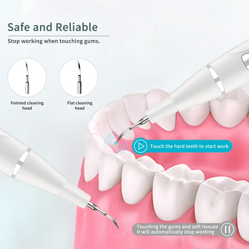 Dental Ultrasonic Tooth Dog Electric Cleaner Ultrasonic Teeth Tooth ...