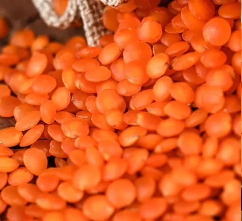 Good Green Lentils / Red Lentils / Yellow Lentils - Buy Red Lentils ...