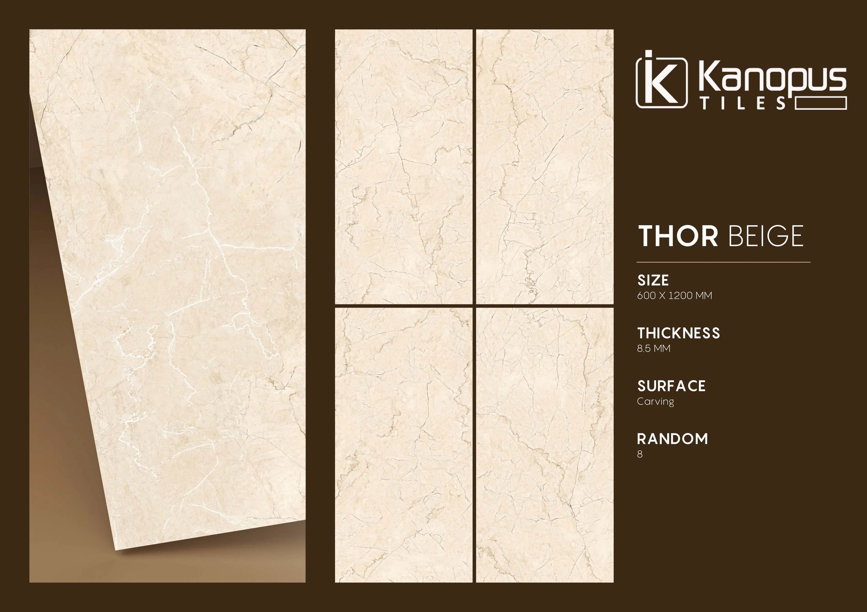 600x1200mm Porcelain Floor & Wall Tiles Collection Of The Aaa Grade ...