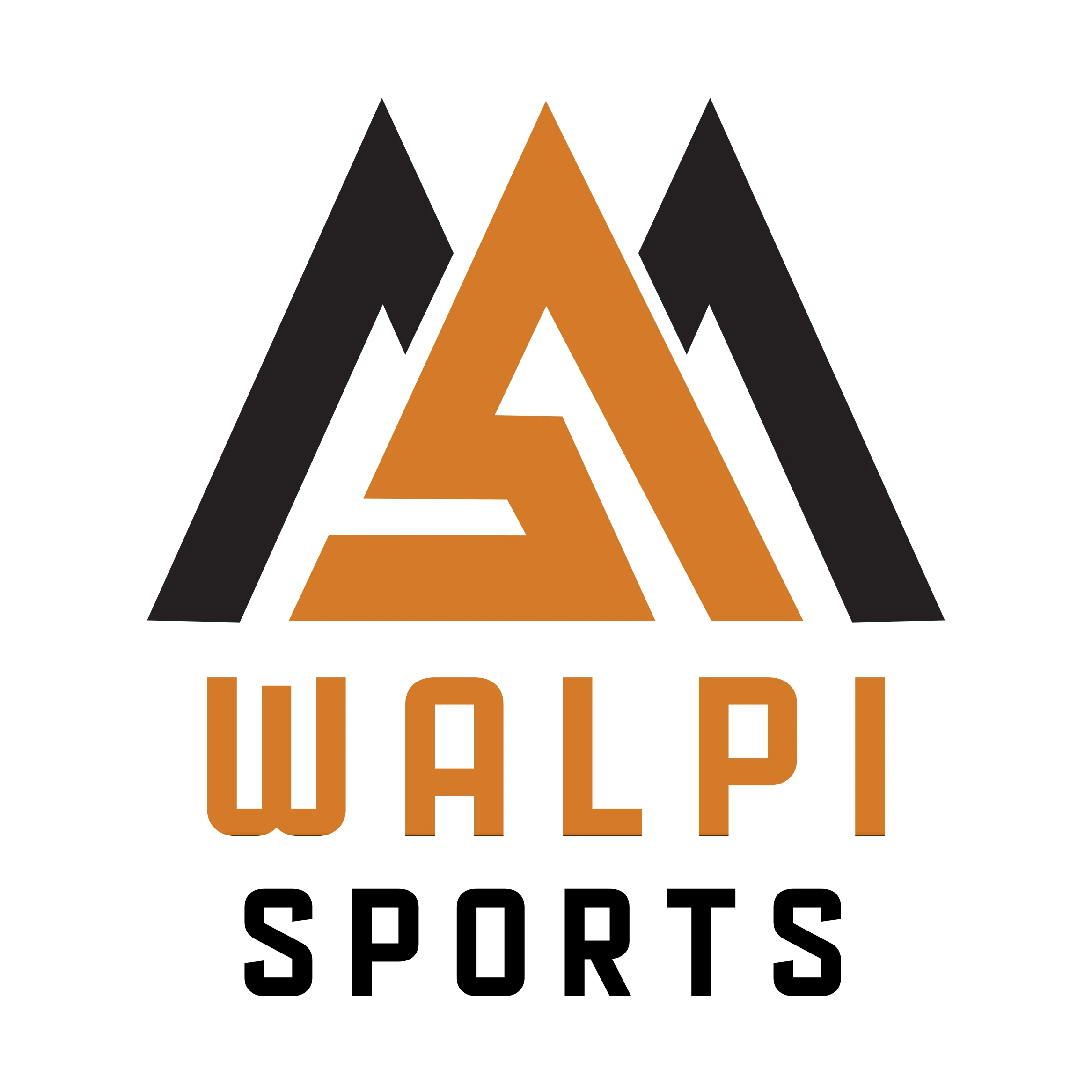 Company Overview - WALPI SPORTS