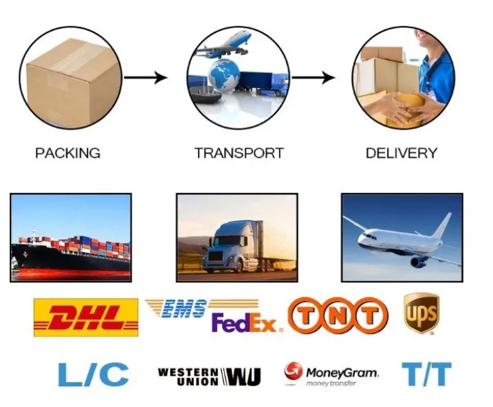 Dental Orthodontic Positive Positioner - High-Quality Appliance