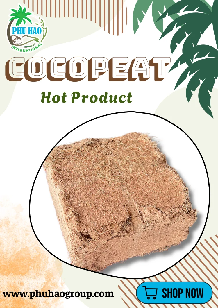 High Quality COCO PEAT Wholesale Coco Peat Blocks for Exporters ...