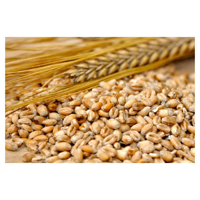 Oat Fiber Baby Cereal Buckwheat Flakes Cooked Cereals Instant Food ...