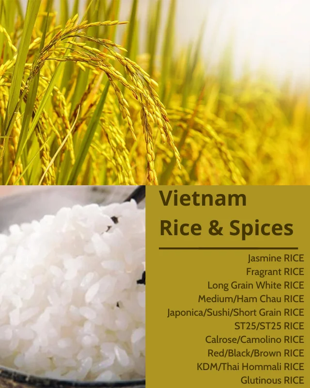 Wholesale Vietnamese Jasmine Fragrant Perfumed White Rice For Africa ...