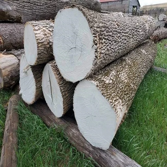 Acacia Wood Round Logs for Sale - Lowest Price & Quality