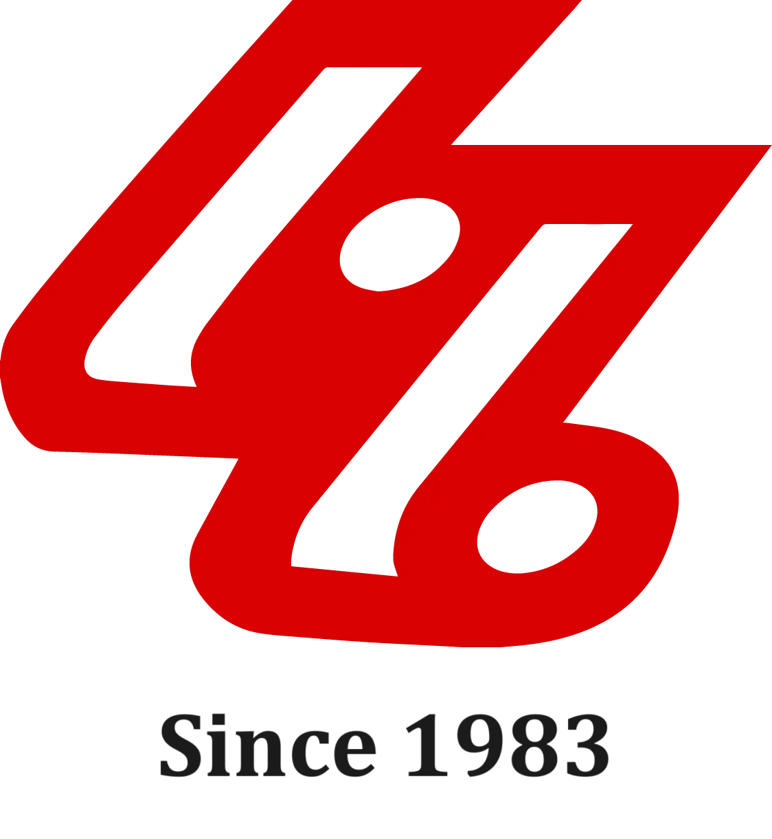 Company Overview - HI-LIGHT INTERNATIONAL INC.