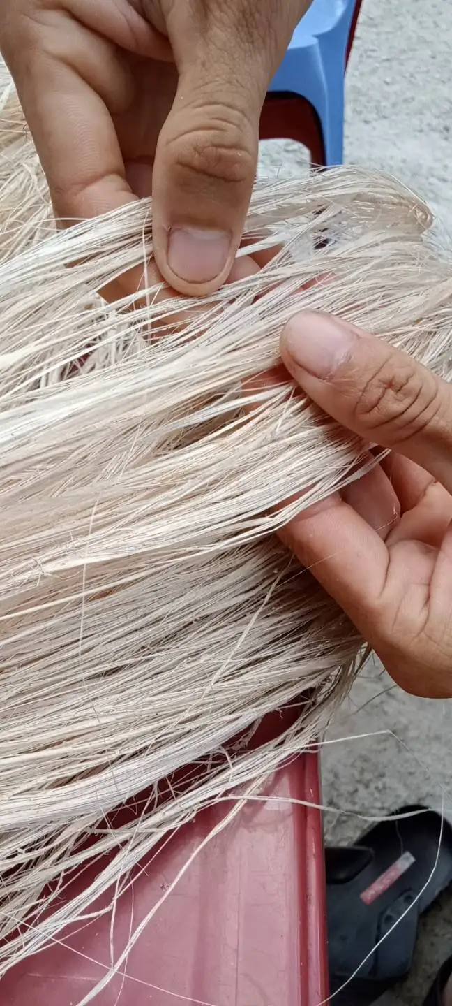 Best Seller High Quality Banana Fiber From Vietnam Export To Canada And ...