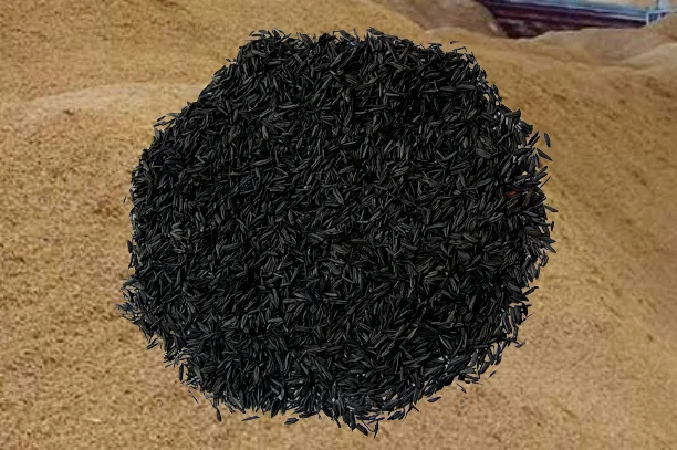 Best Seller!! High Carbonized Rice Husk Ash From Vietnam - Buy Rha Rice ...