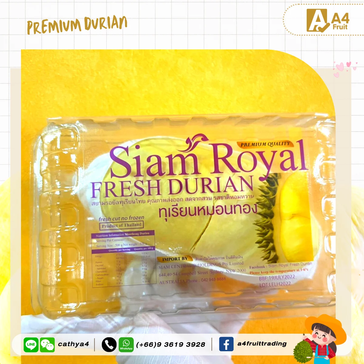 Fresh Durian Fruits For Sale Fresh Durian From Thailand Quality ...