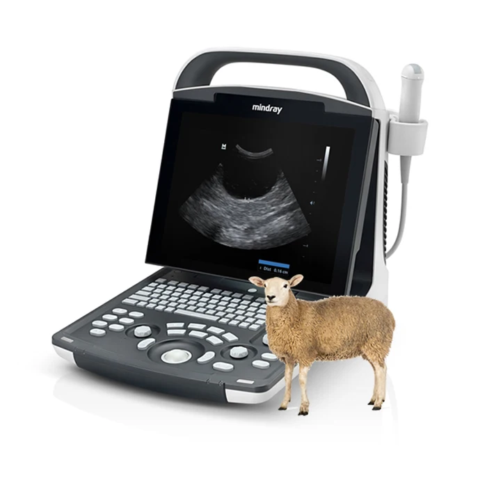 Mindray DP10 Vet Ultrasound - Equipped with Rectal Probes