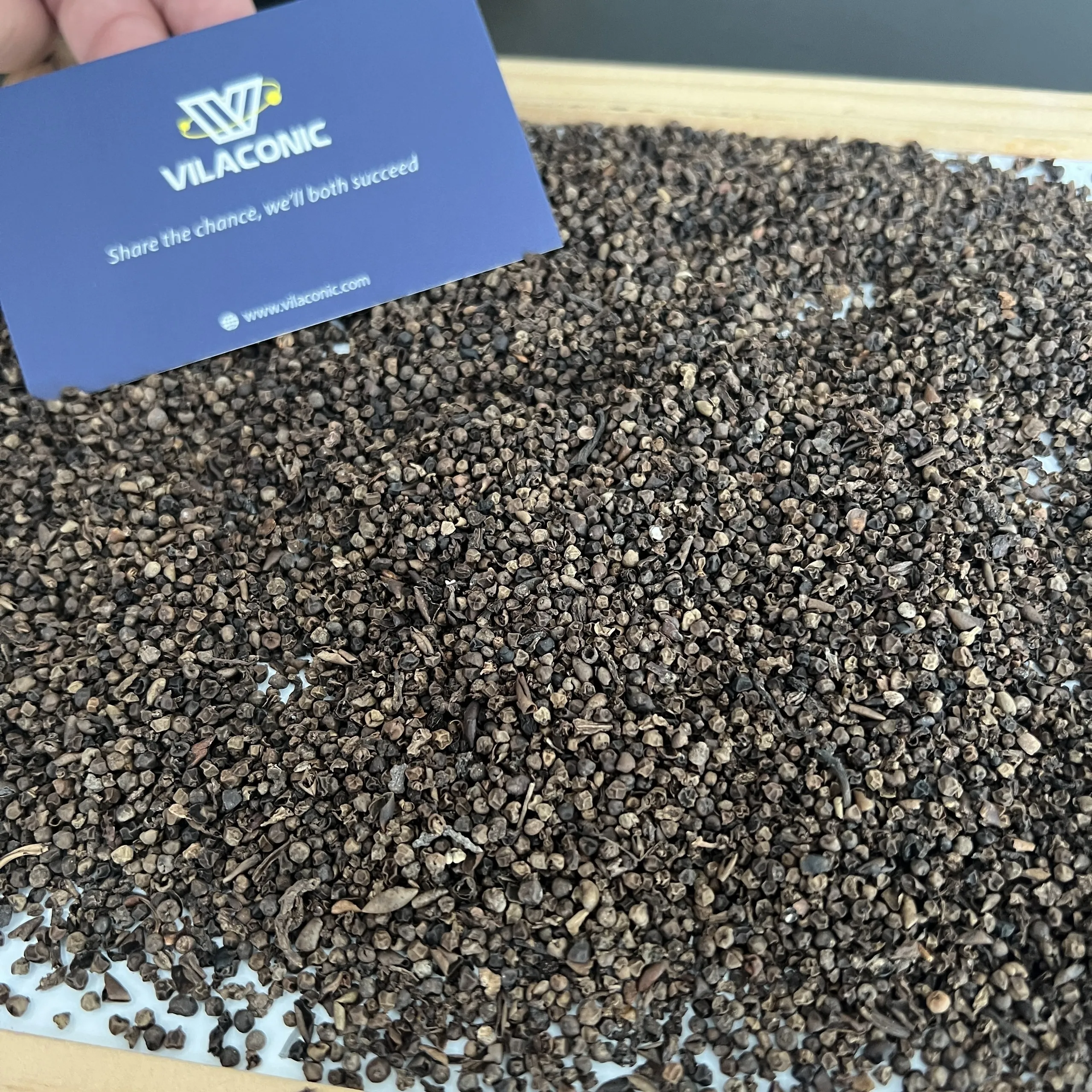 Pinhead Pepper Supplier | Exporter - 2024 Available With Highest ...