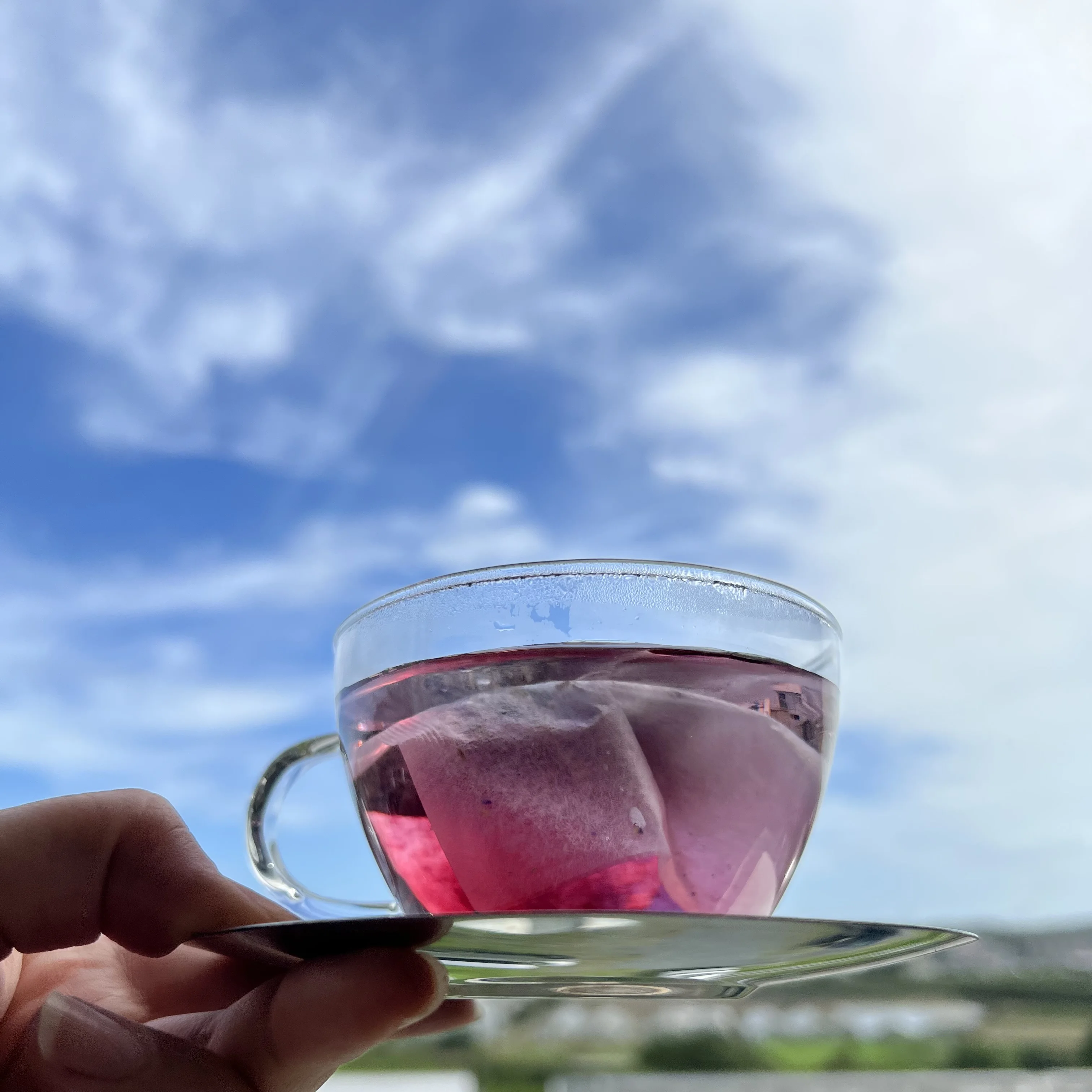 Japan High Quality Healthy Plant Based Herbal Flower Tea Made in Japan ...