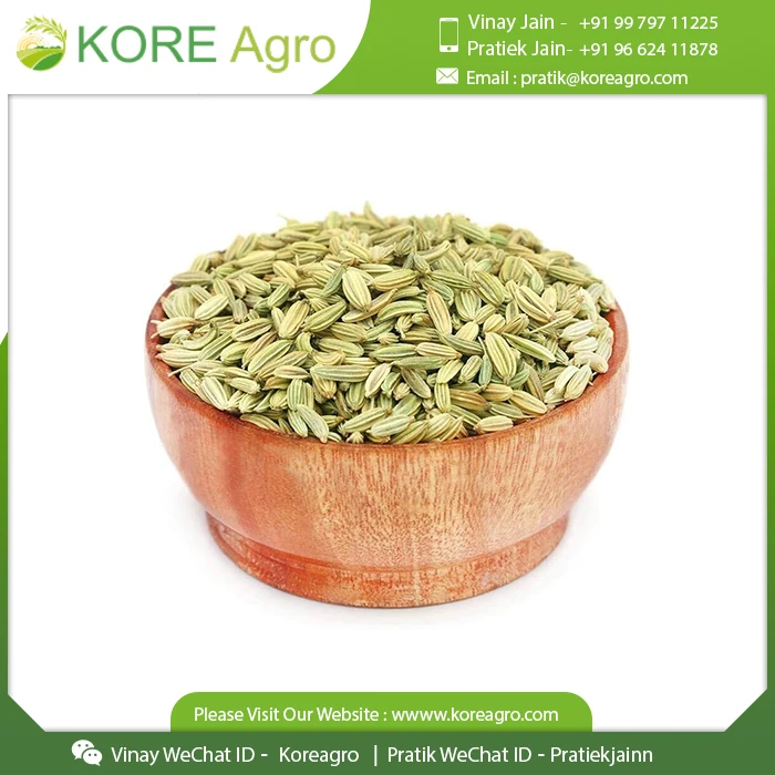 High Grade Whole Fennel Aromatic Seeds Fresh Organic Variyali Seeds ...
