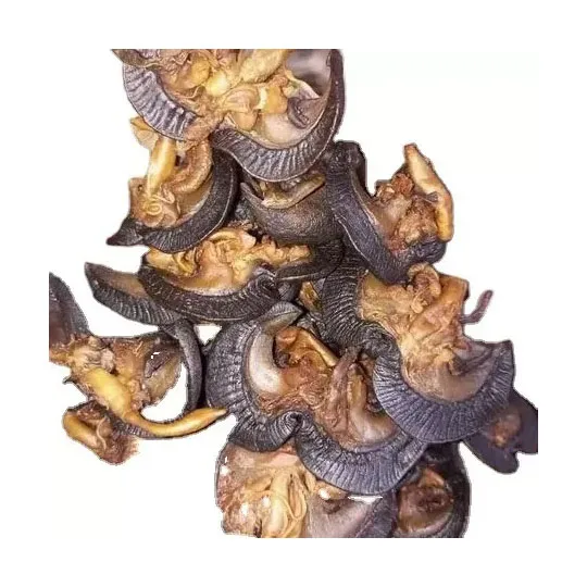 Fresh African Giant Snail/dried Snails Exporters/fresh Sea Snails - Buy ...