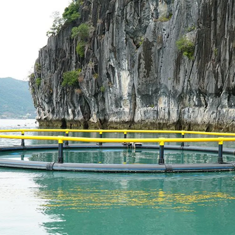 Hdpe Cages Good Quality Secure Aquatic Research Center Floating Round ...
