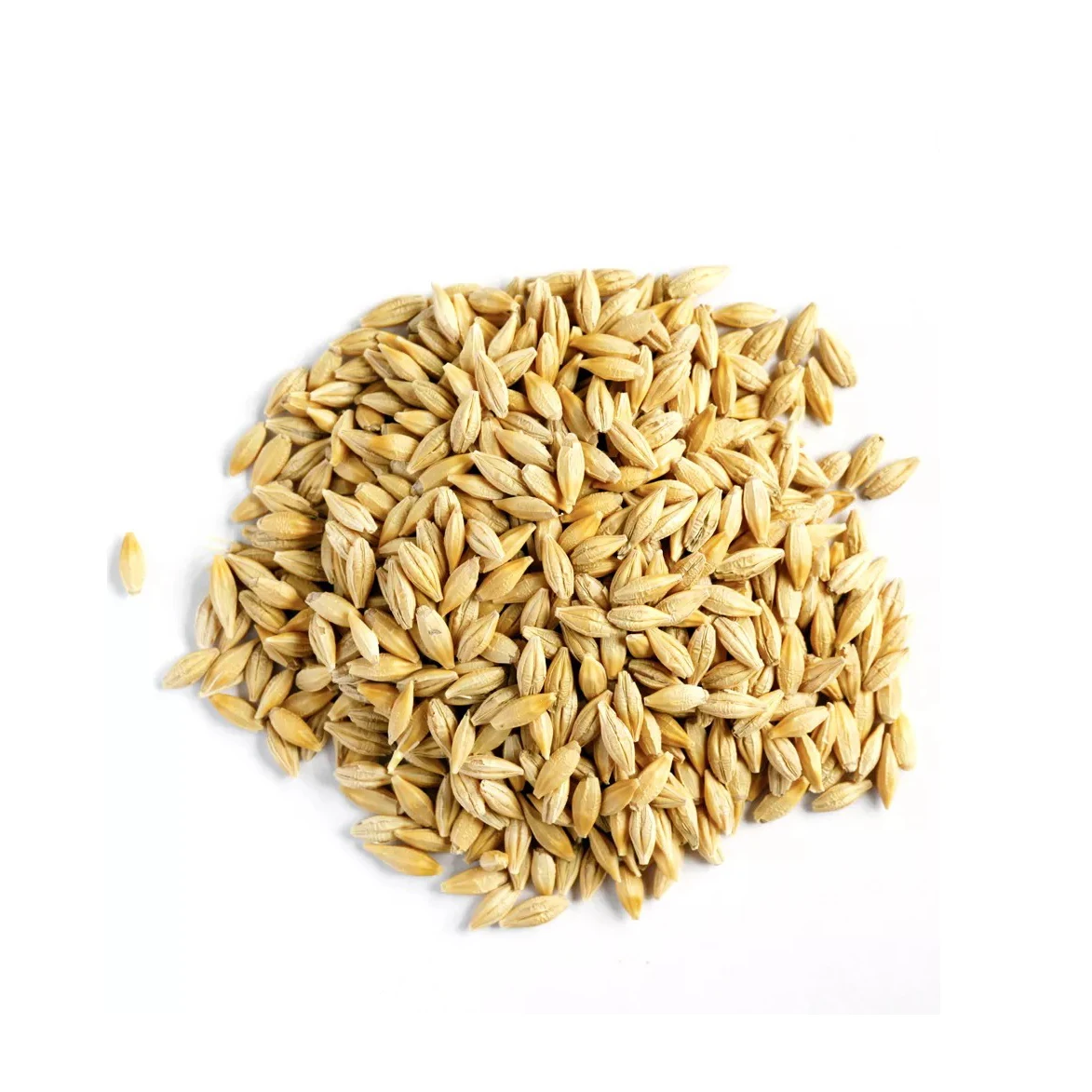 Barley Grains Premium Barley Seeds/animal Feed Barley/bulk - Buy Barley ...