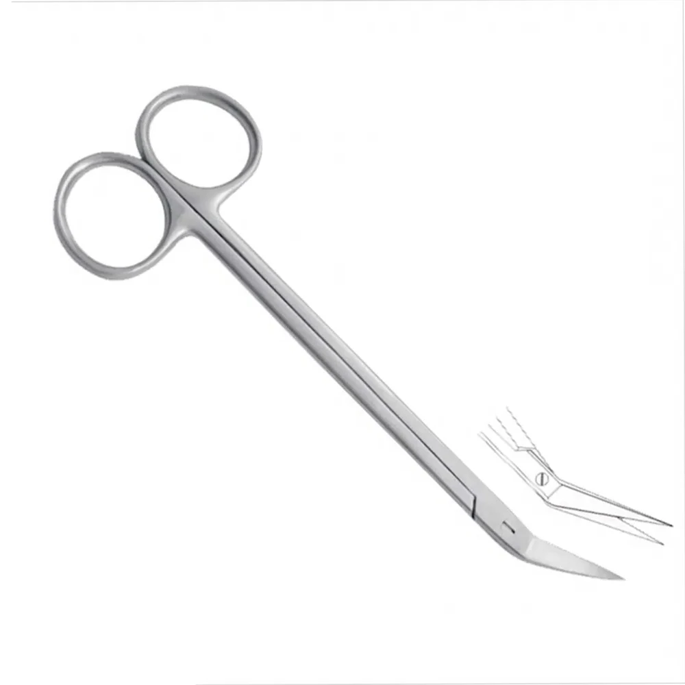 Surgical Grade Locklin Gum Scissor Sand Finish Angular Scissors ...