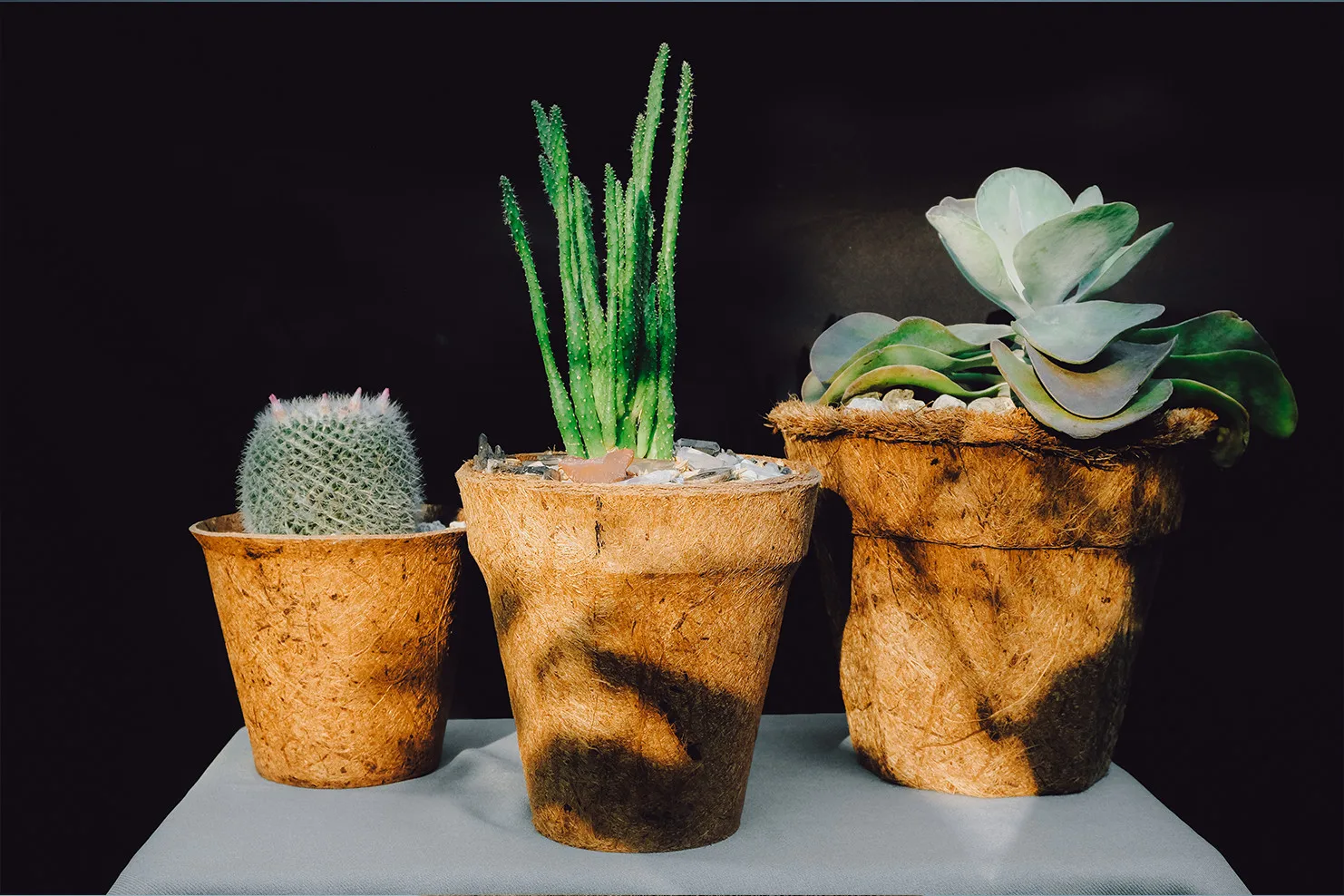 Eco-friendly And Natural Coconut Coir Fiber Pot/ Coconut Fiber Plant ...