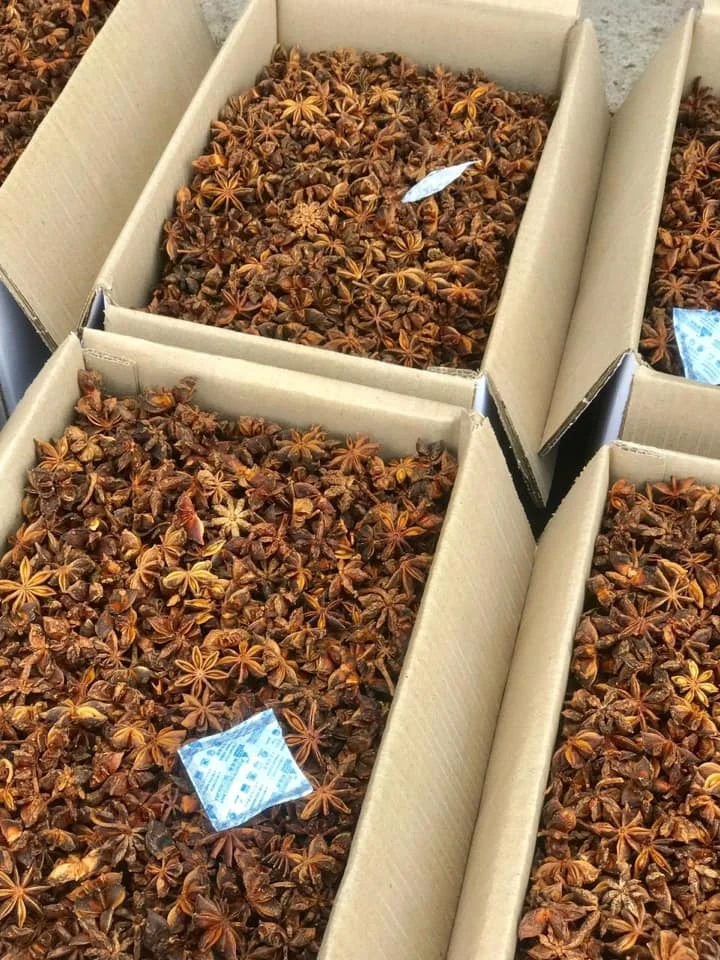 Star Anise Factory Viet Nam Lowest Price And Best Quality Spices And ...