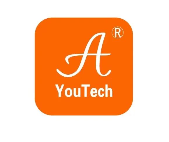 Company Overview - Shenzhen Ayou Technology Co., Ltd.