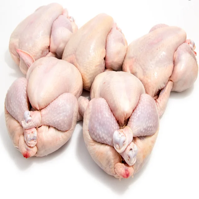 Whole Chicken Frozen / Halal Chicken Feet / Frozen Chicken Paws Brazil ...
