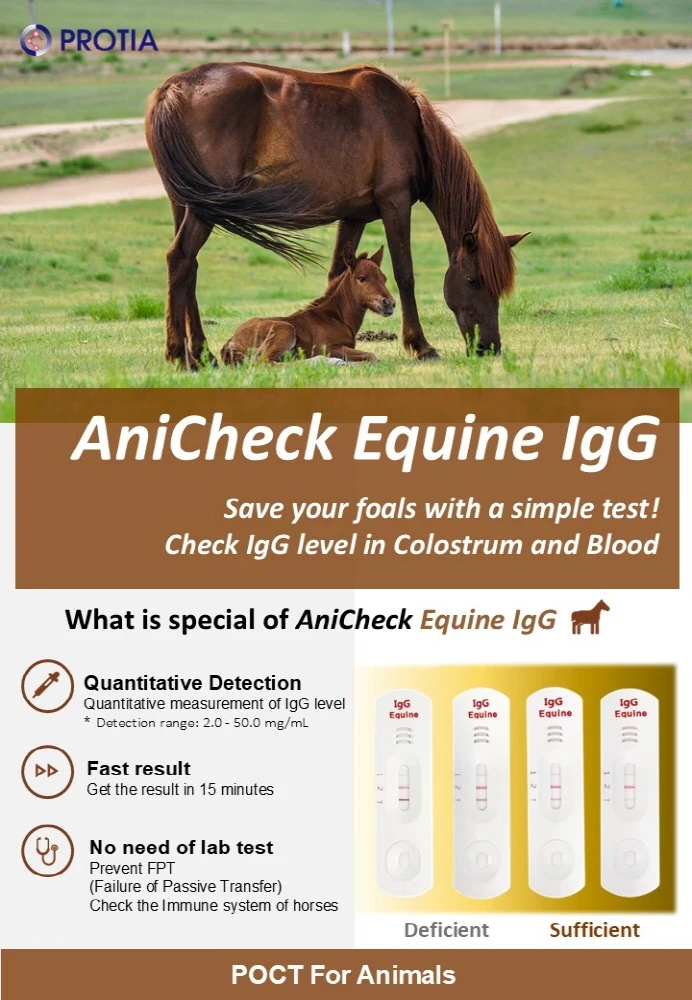 Horse Foal Equine Rapid Kit for Immunoglobulin G (IgG) Colostrum and ...