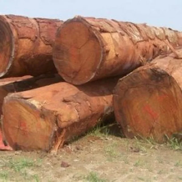 Wholesale Austria Timber Wood Log / Sawlogs /wood Round Logs / Lumber ...