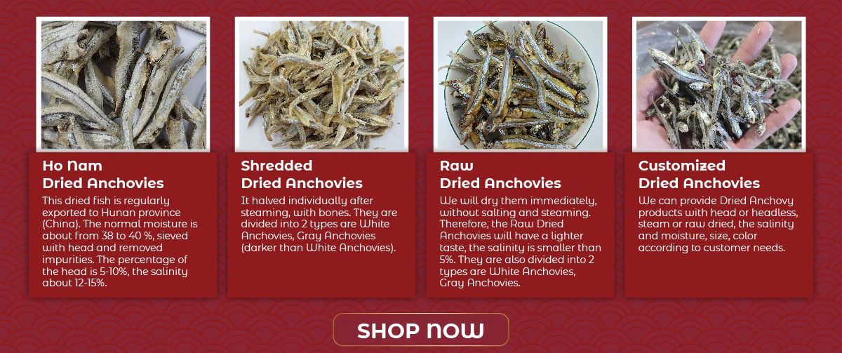 Dried Cuttlefish Frozen Dry Squid From Vietnam Ready To Ship From ...