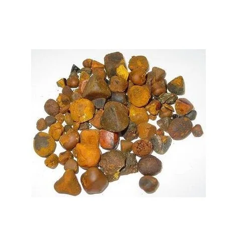 100% Whole Ox Bile Gallstone/ 10kg To 25kg Dried Healthy Ox Gallstones ...