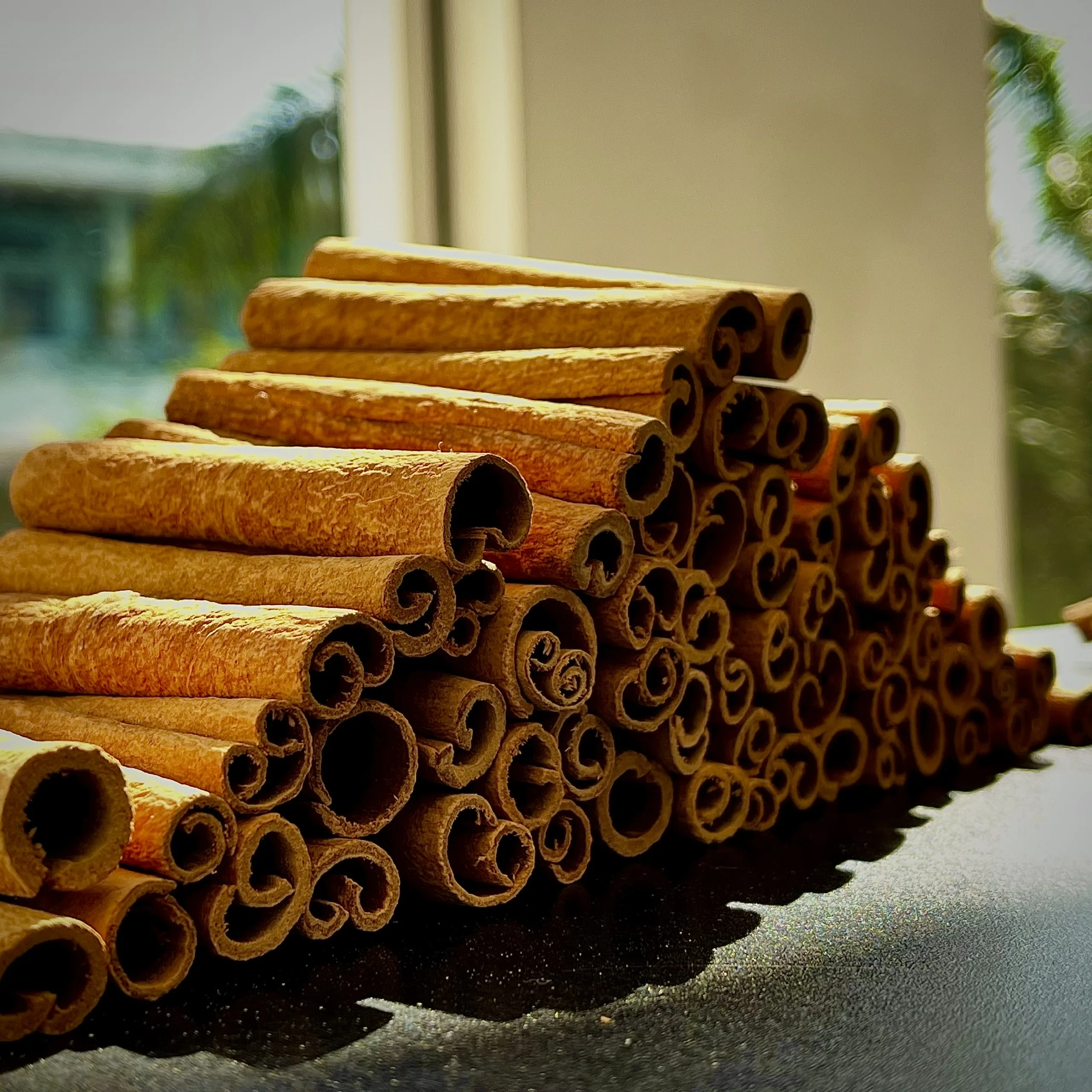Vietnam FINGER CASSIA (CIGARETTE CASSIA/ CASSIA VERA)