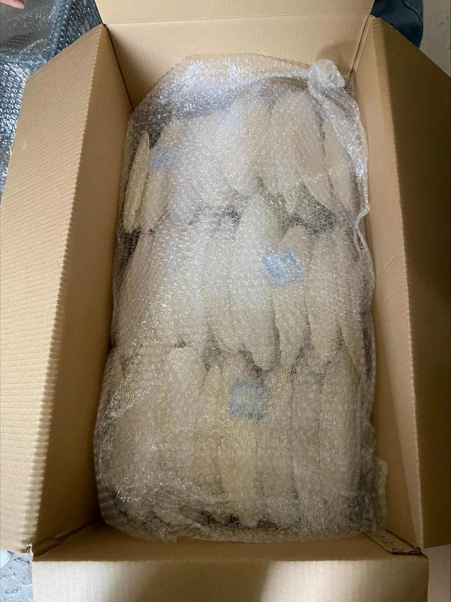 Extra Large White Cuttlefish Bone For Animal Food Origin Viet Nam - Buy ...