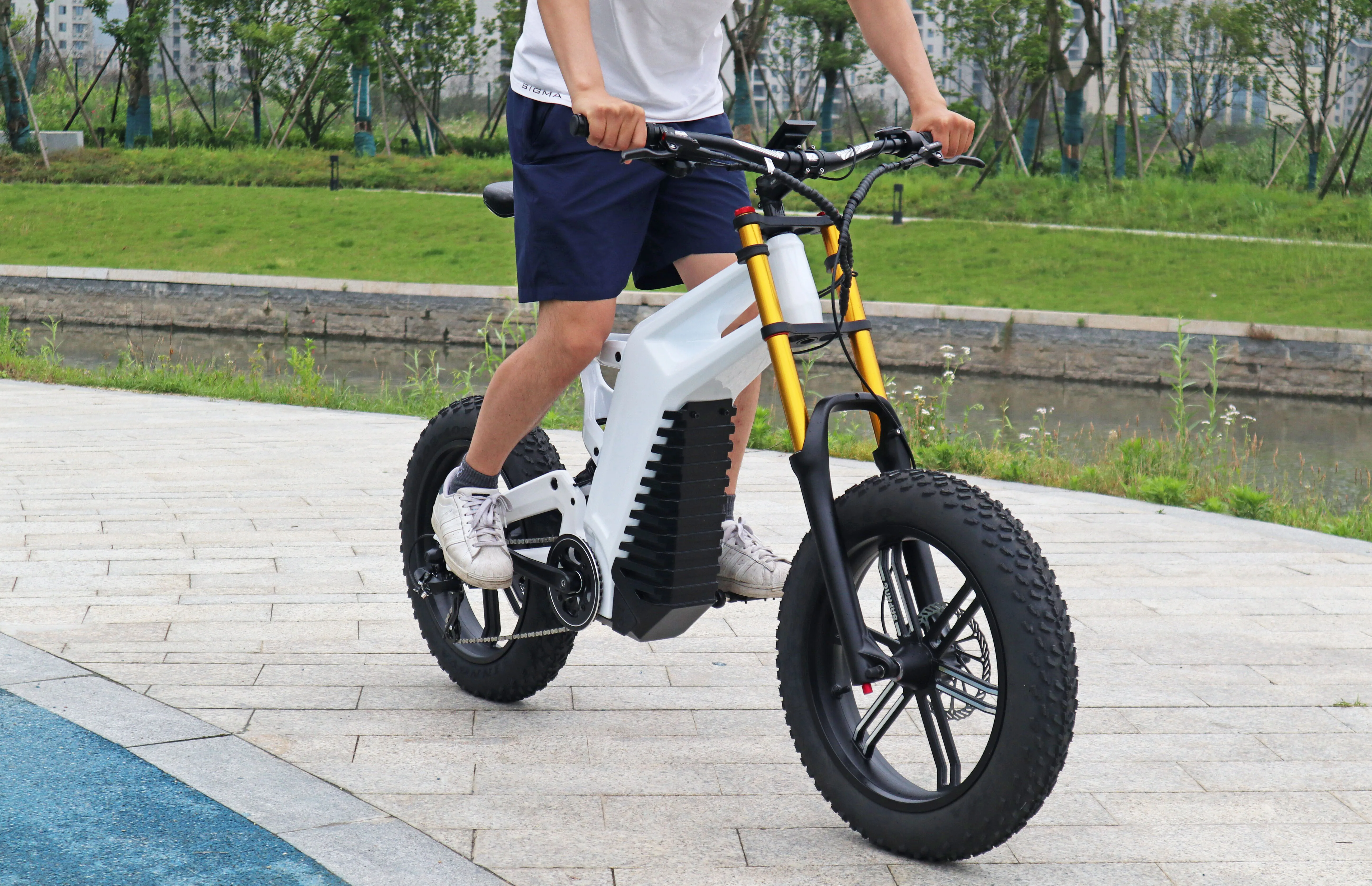 4LEAF Ace 48V 1000W Electric Bicycle - Powerful Dual Suspension Ebike ...