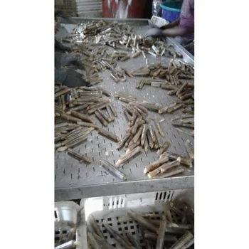 Razor Clam Ready Stock To Deliver - Buy Razor Clams For Sale,Frozen ...