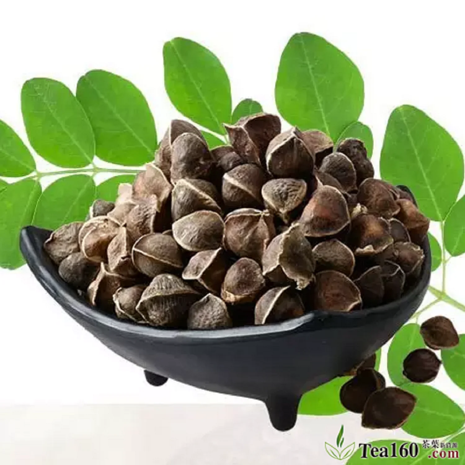 Premium Indian Herbs And Plants Moringa Moringa Oleifera- Seed Leaf ...
