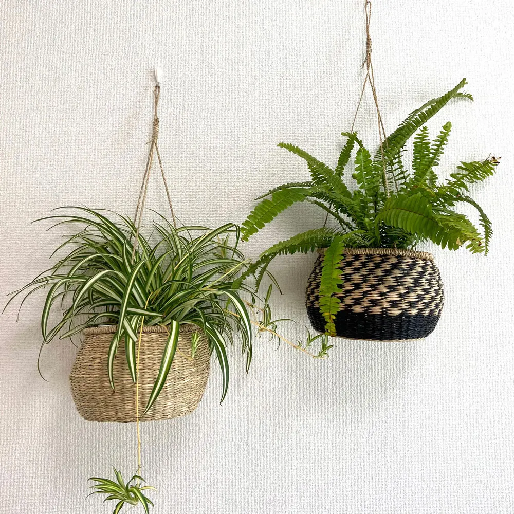 Houseplant Hanging Rope Hanging Planter Seagrass Basket Hanging Planter ...
