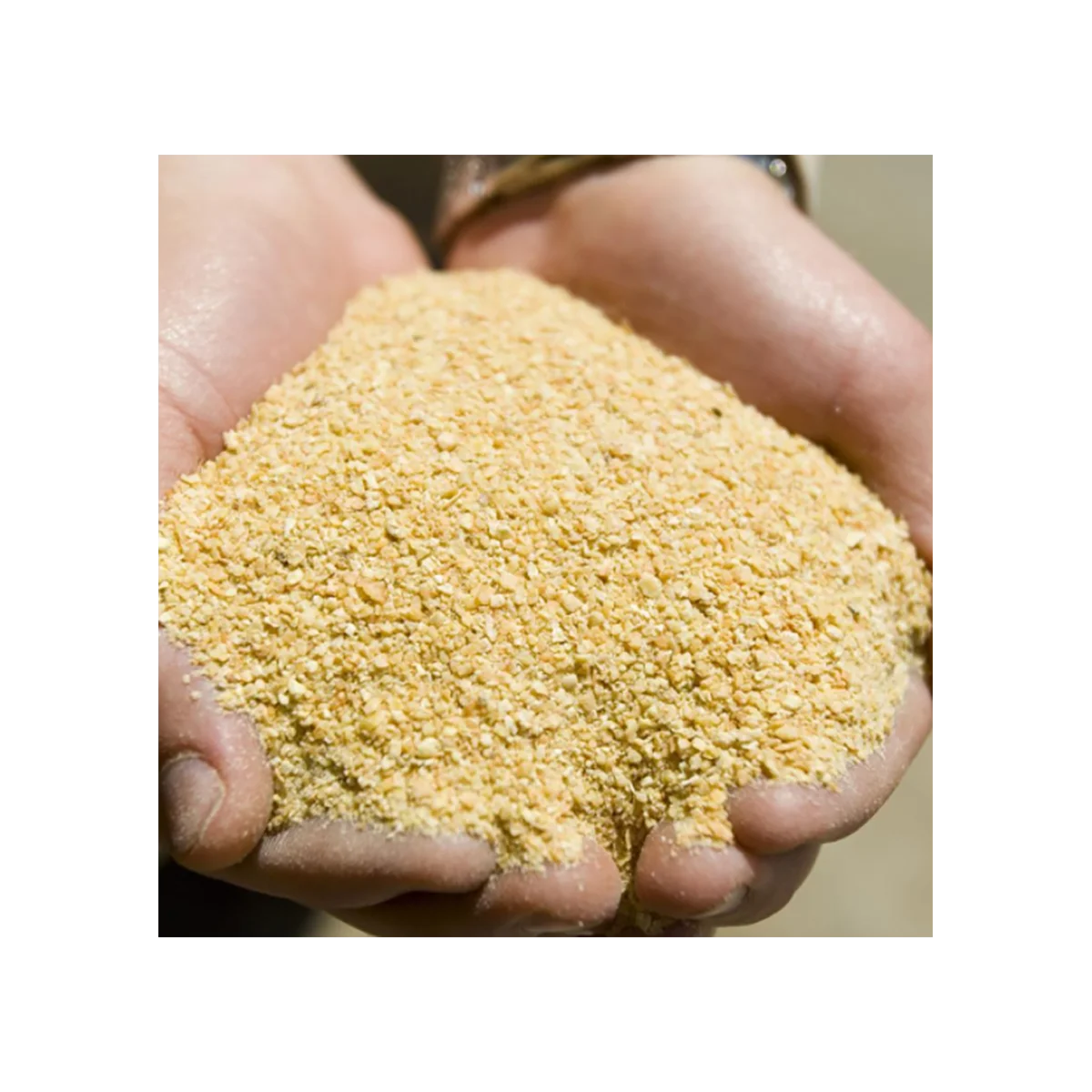 Soybean Meal: Understanding Its Protein-rich Composition And ...