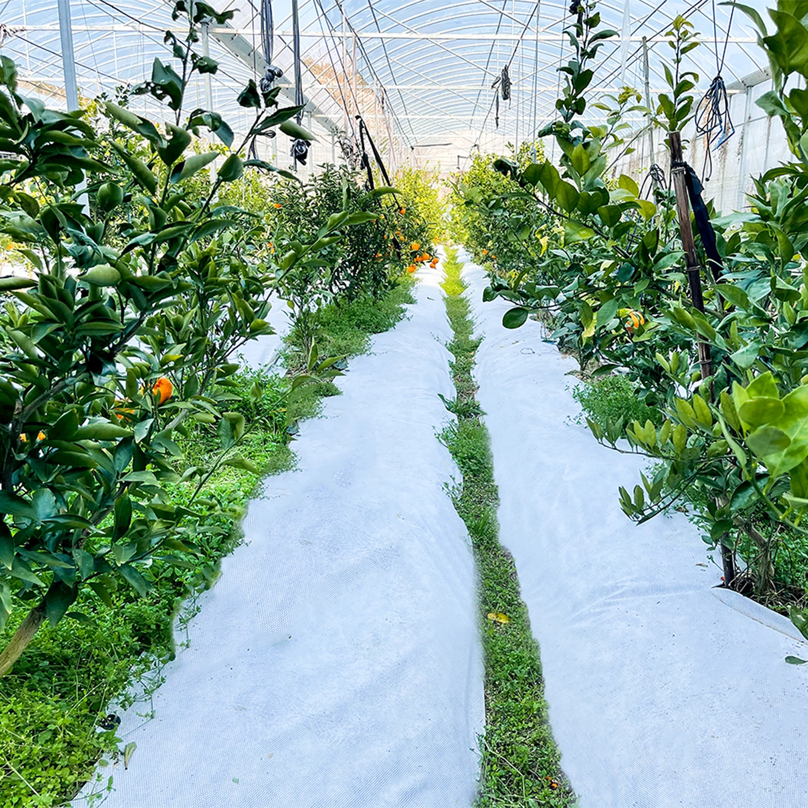 Bsci Factory 60gsm 70gsm 80gsm 100gsm 120gsm White Sunlight Reflection ...