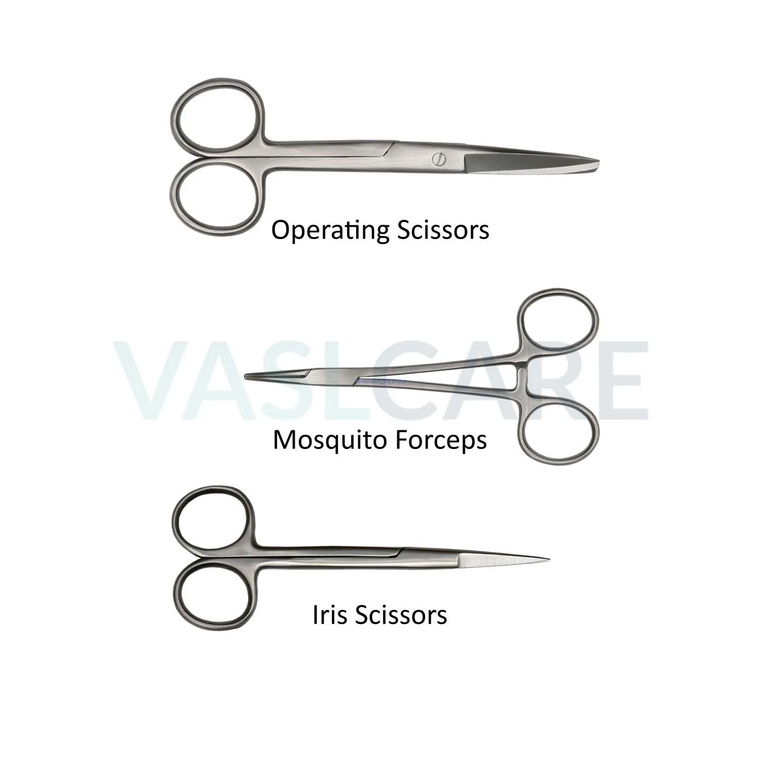 Medical Student Basic Veterinary Dissection Set Of Pcs Birds Botany ...